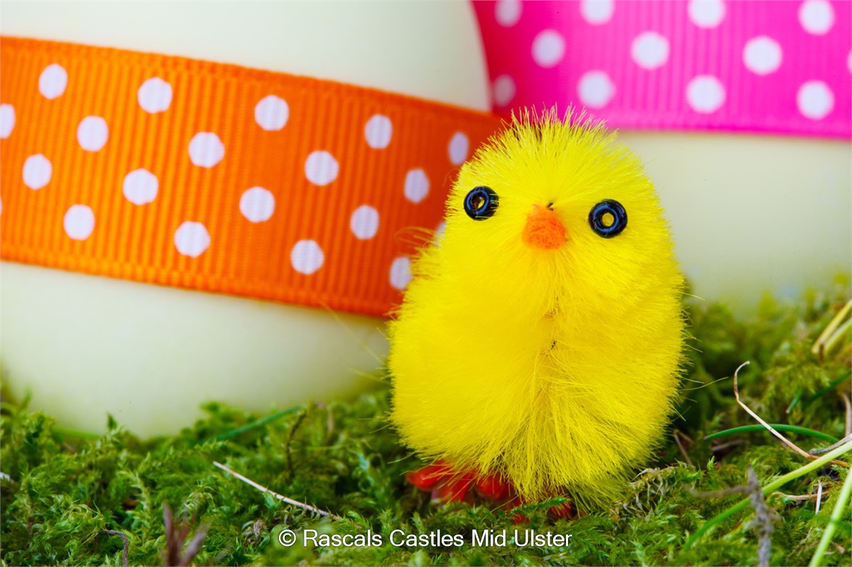 Spring Into Party Fun with Bouncy Castle Hire | News and Blogs